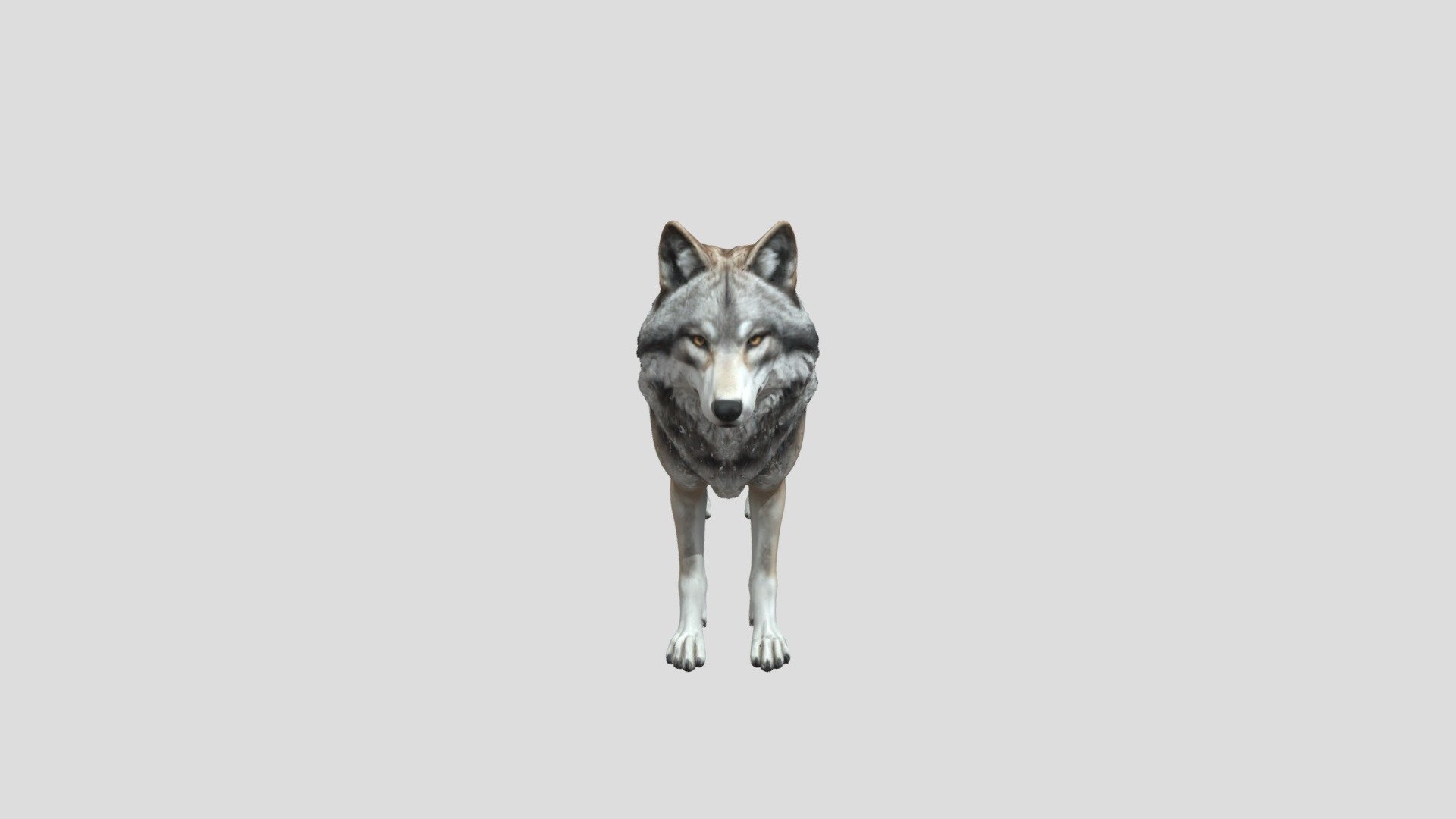 Lone Wolf - 3D model by catensen [560f84d] - Sketchfab