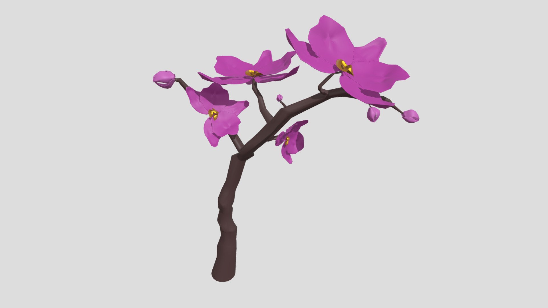 Orchid - 3D model by Agata (@grochowska.A) [56100ab] - Sketchfab