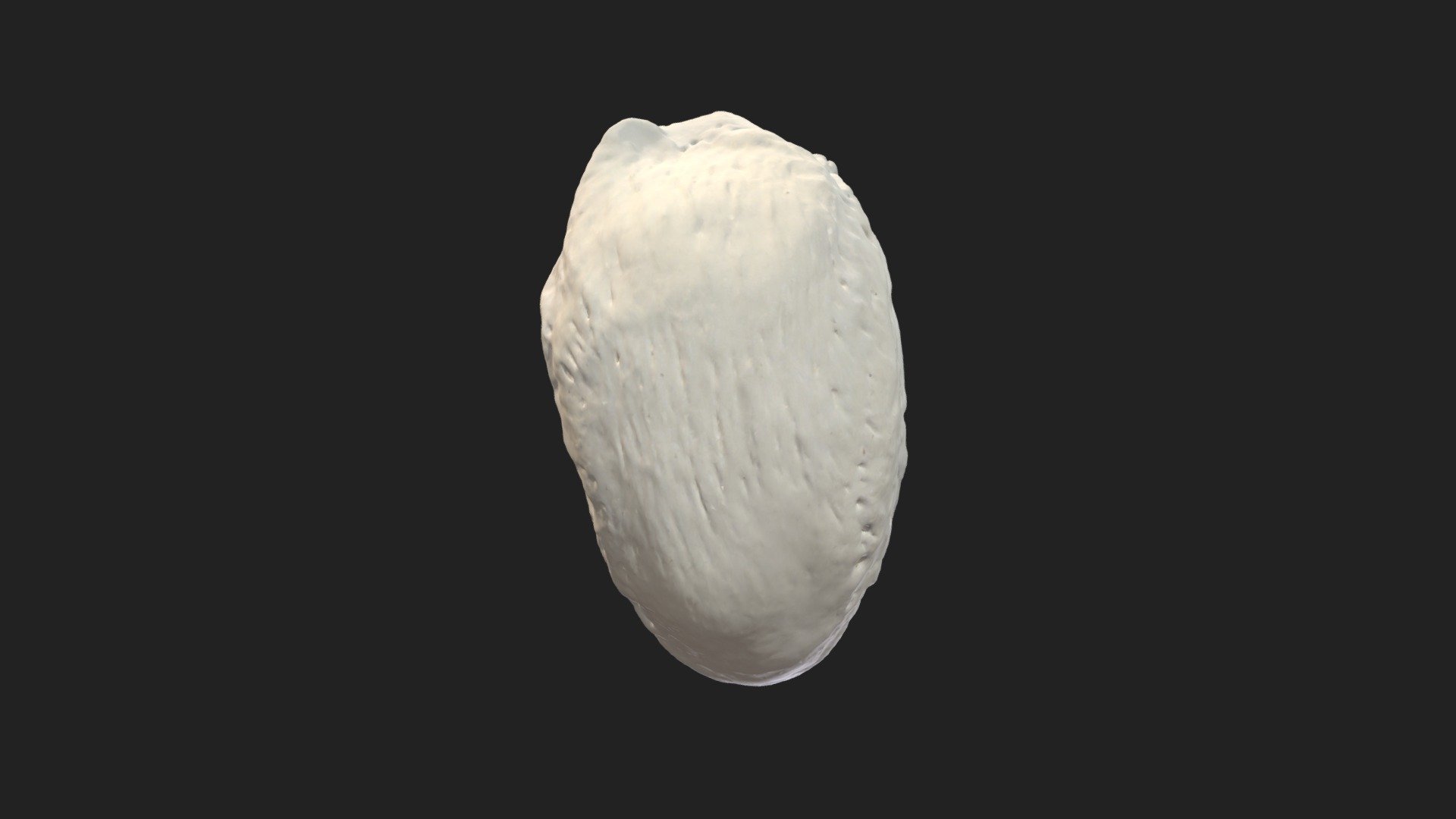 kneecap (patella) dog - Download Free 3D model by vetanatMunich ...