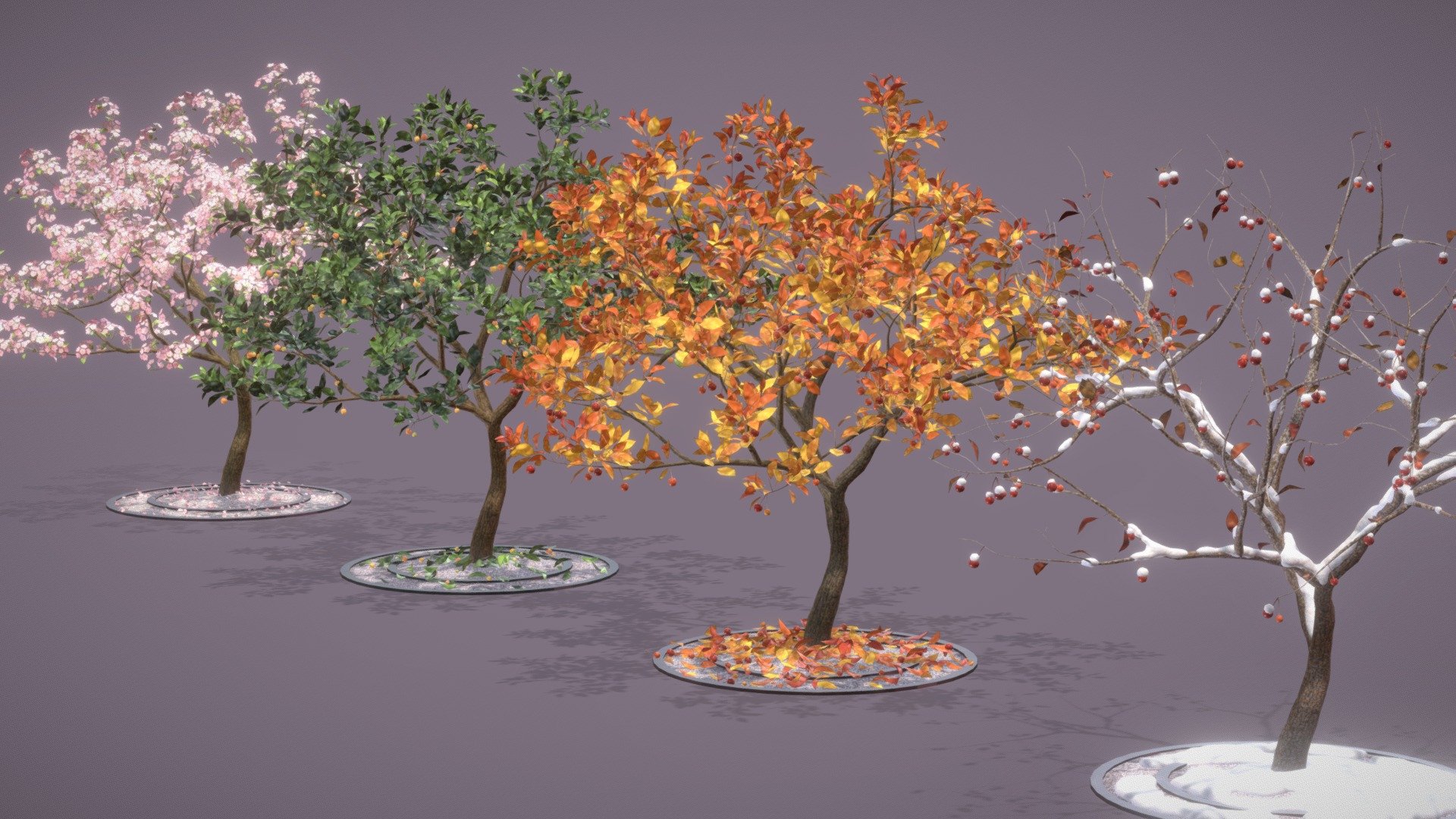 Four seasons tree (3D) - Buy Royalty Free 3D model by tochechka ...