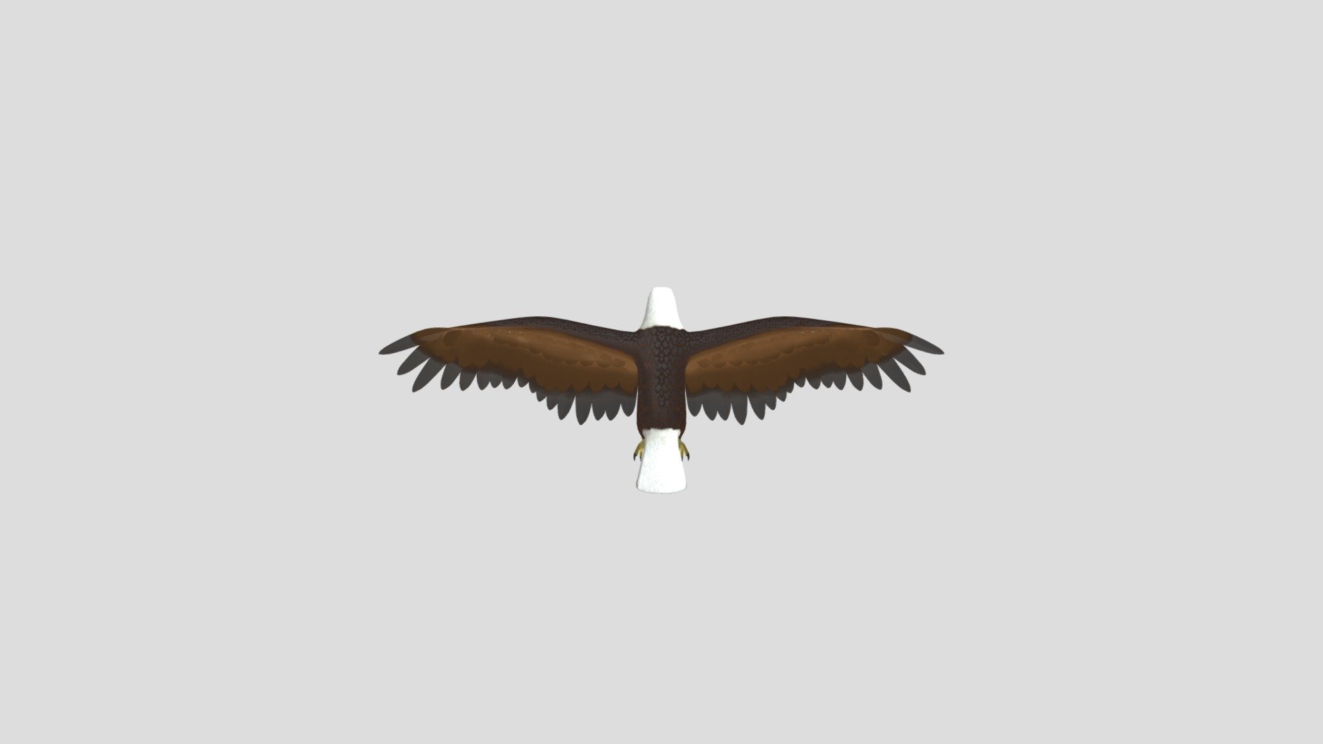 Eagle - Download Free 3D model by cahyotris [562526b] - Sketchfab
