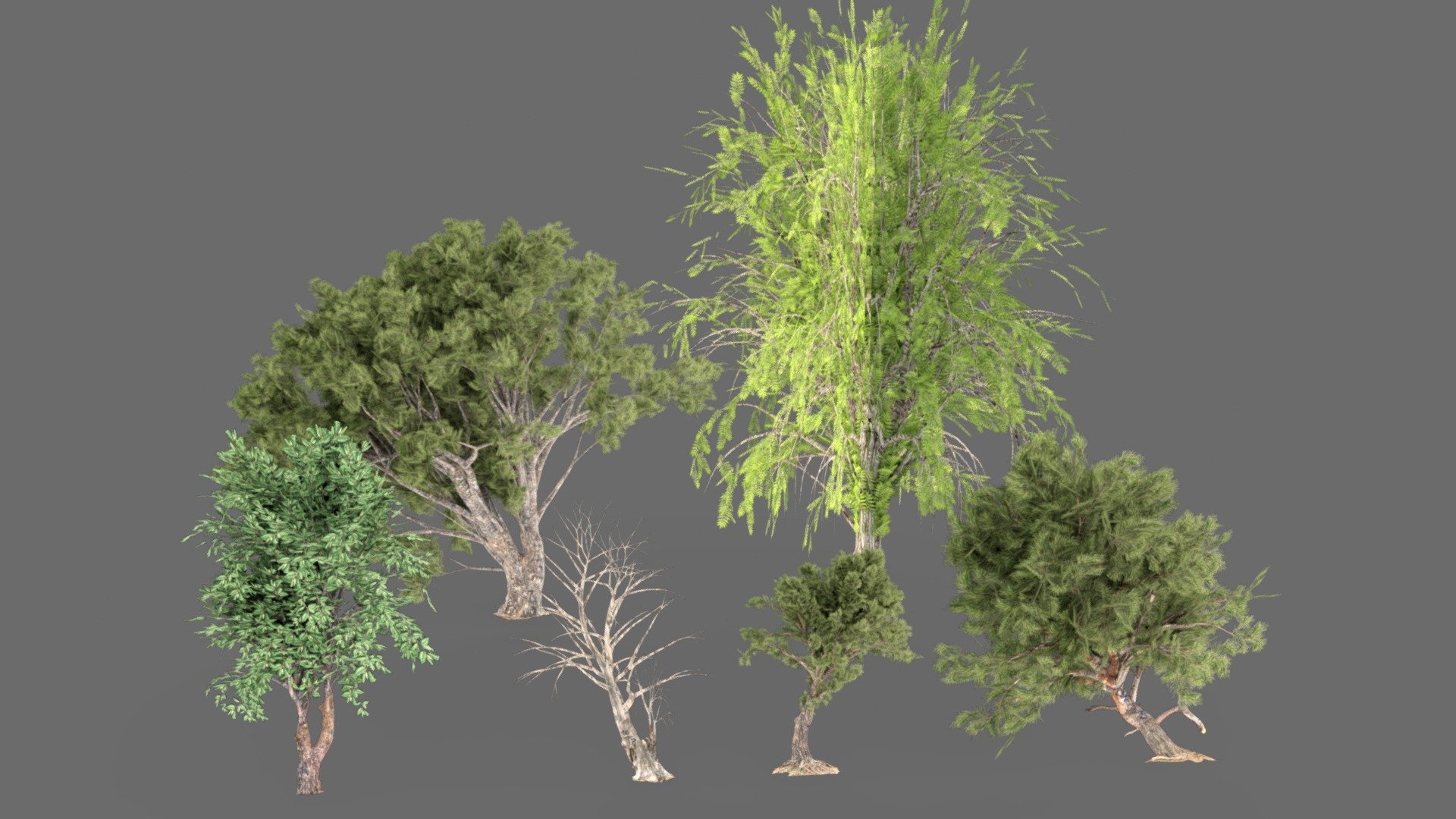 Billboard Tree Pack - Download Free 3D model by EFX (@evan4129 ...