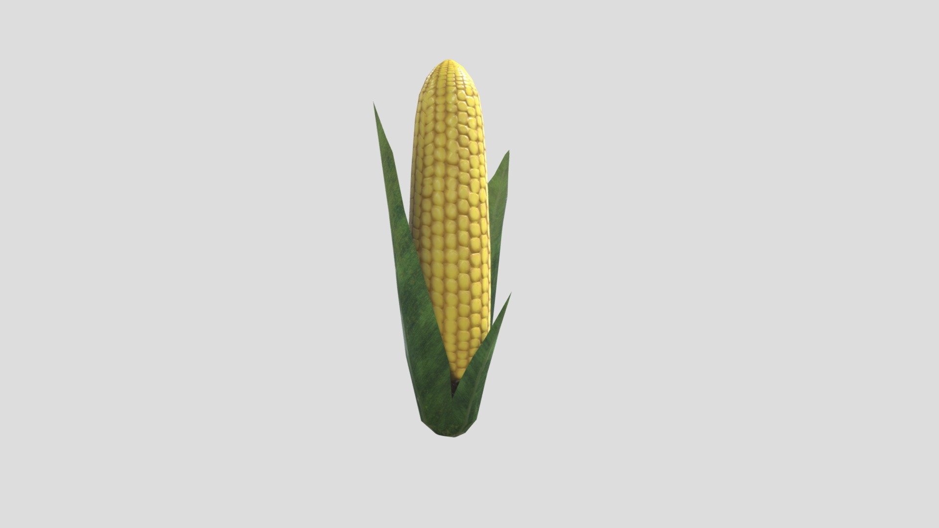 Corncob - 3D model by Charlotte Atwill (@atwillc) [5638546] - Sketchfab
