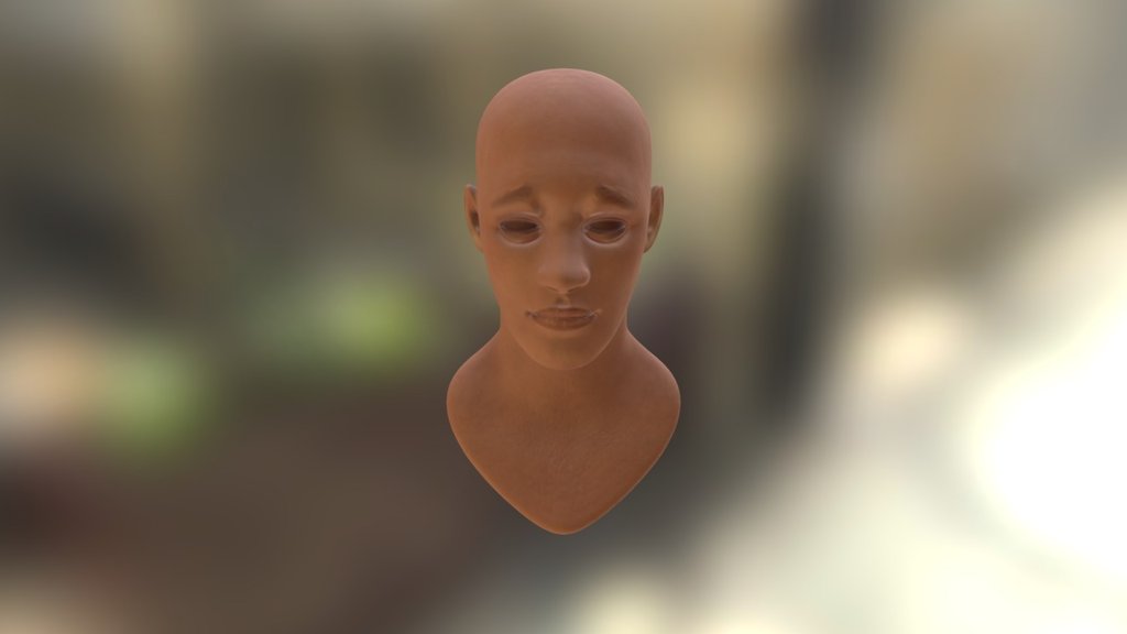 Head - 3D model by aikobarron [563a9e0] - Sketchfab