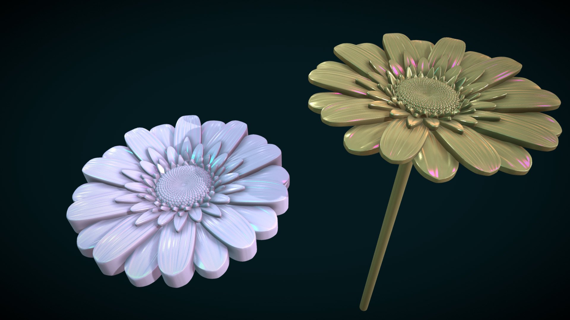Daisy Gerbera Flower - 3D model by Skazok [563bb33] - Sketchfab