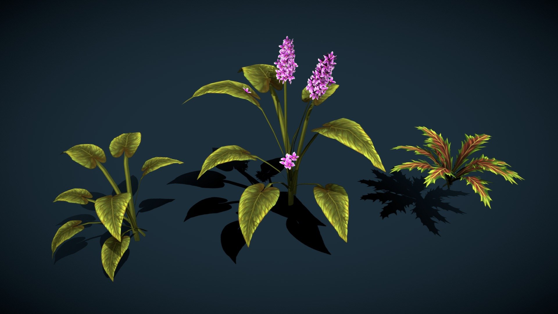 Small folliage plant - Download Free 3D model by POLYSCAN (@POLYSCAN3D ...