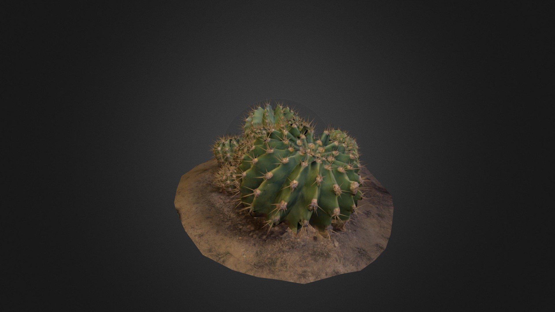 Cactus 1 - Download Free 3D model by shalivan [564bfb6] - Sketchfab