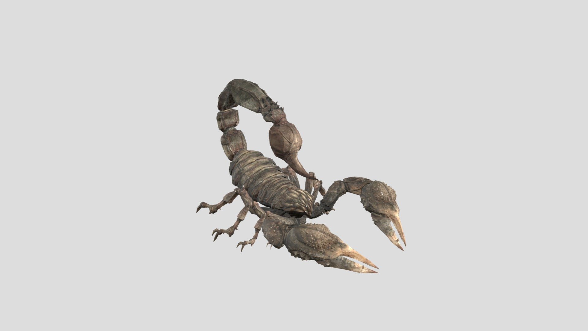 Scorpion - 3D model by Matt Alexander (@Matt-Alexander) [565288d ...