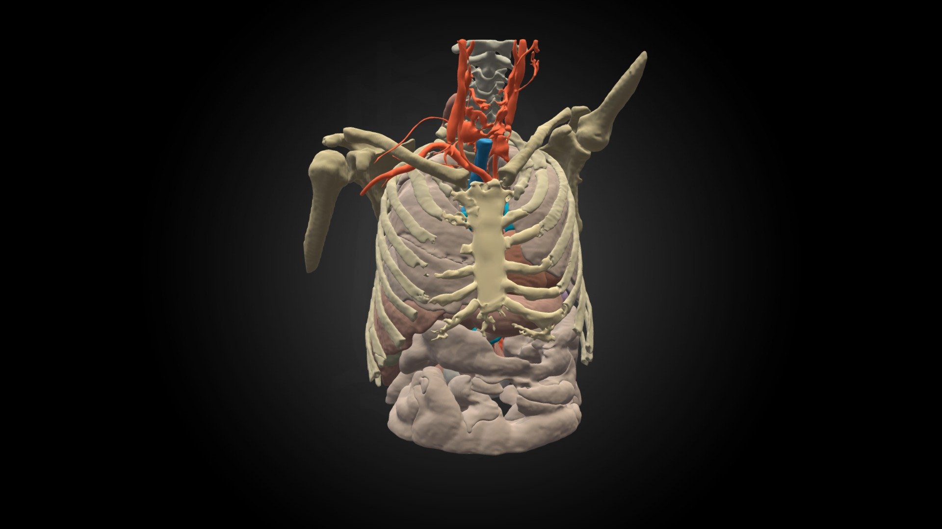 Mekki - 3D model by Dara Walsh (@dara.walsh) [5658d4c] - Sketchfab