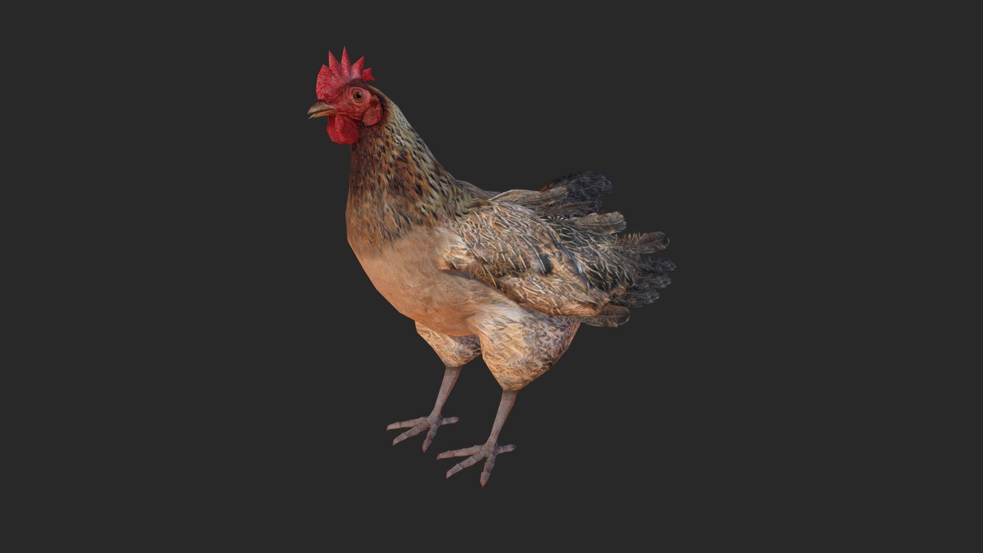 Chicken - 3D model by Michał Zomerski (@michaelangelo666) [5659f3f ...
