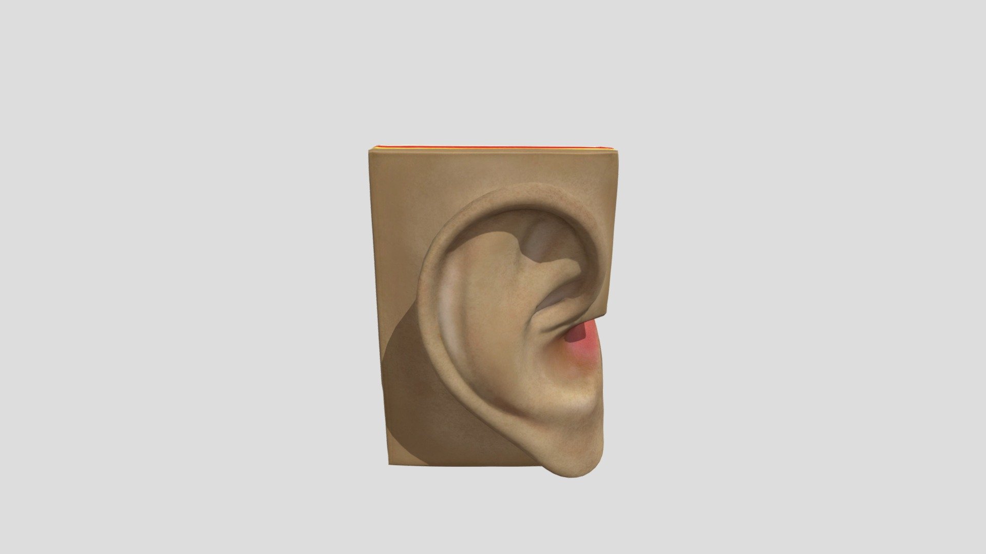 bagian telinga - 3D model by Semangat [565a10d] - Sketchfab