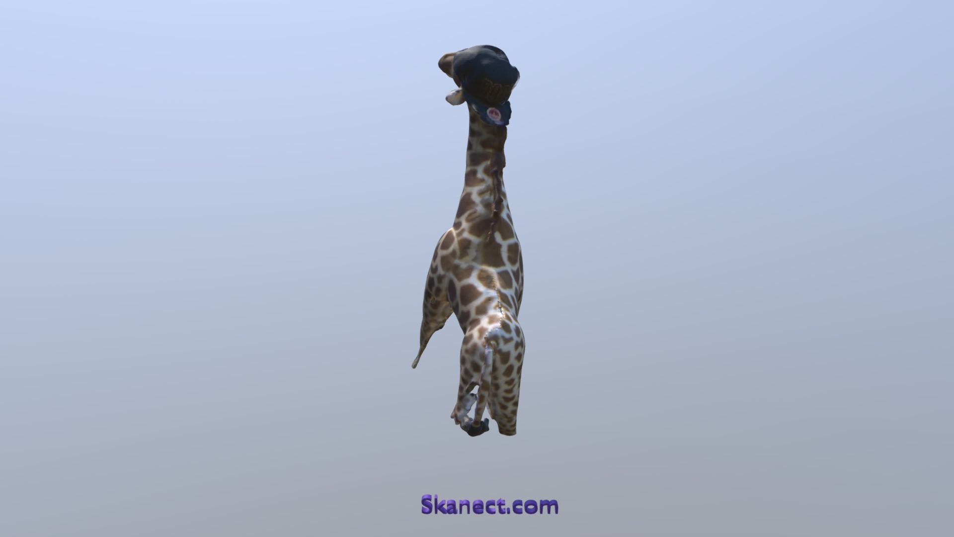 animal3 - 3D model by fastlemon2 [5670965] - Sketchfab