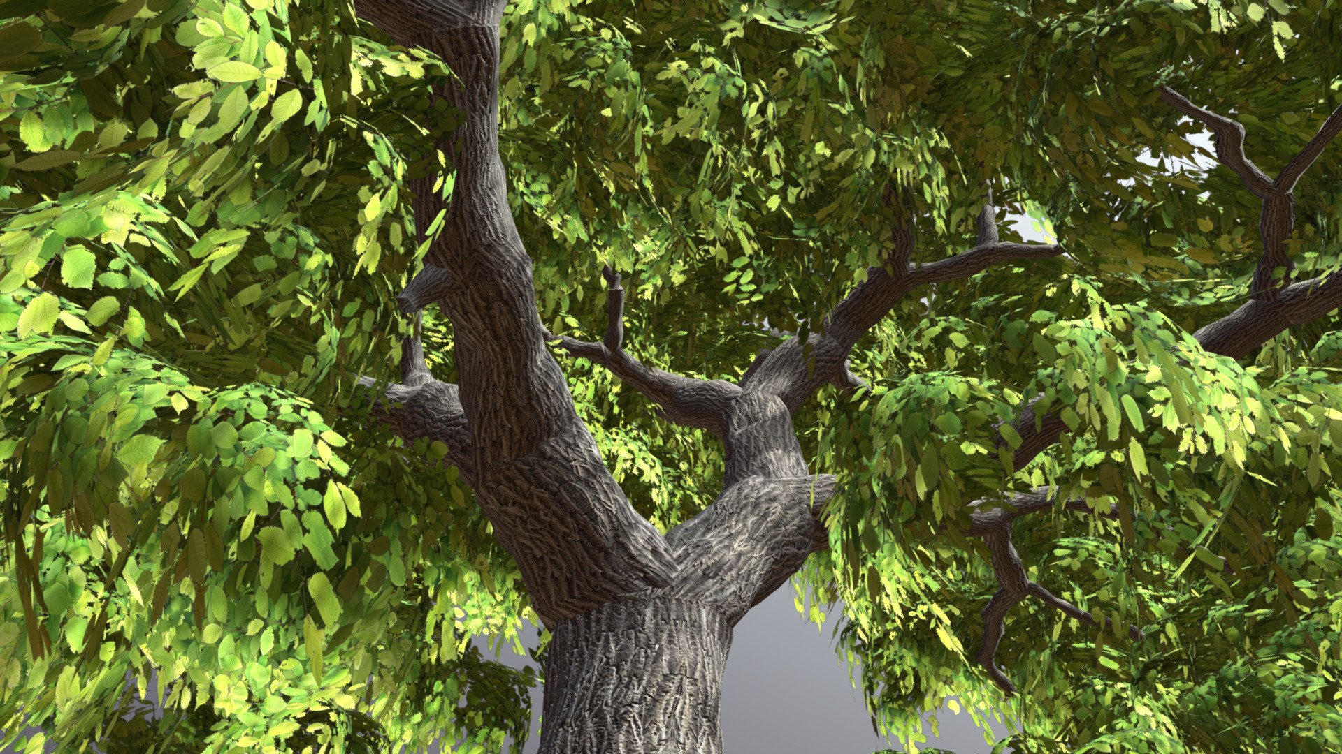 Broadleaf Tree with Leaves (very high-Poly) - Buy Royalty Free 3D model ...