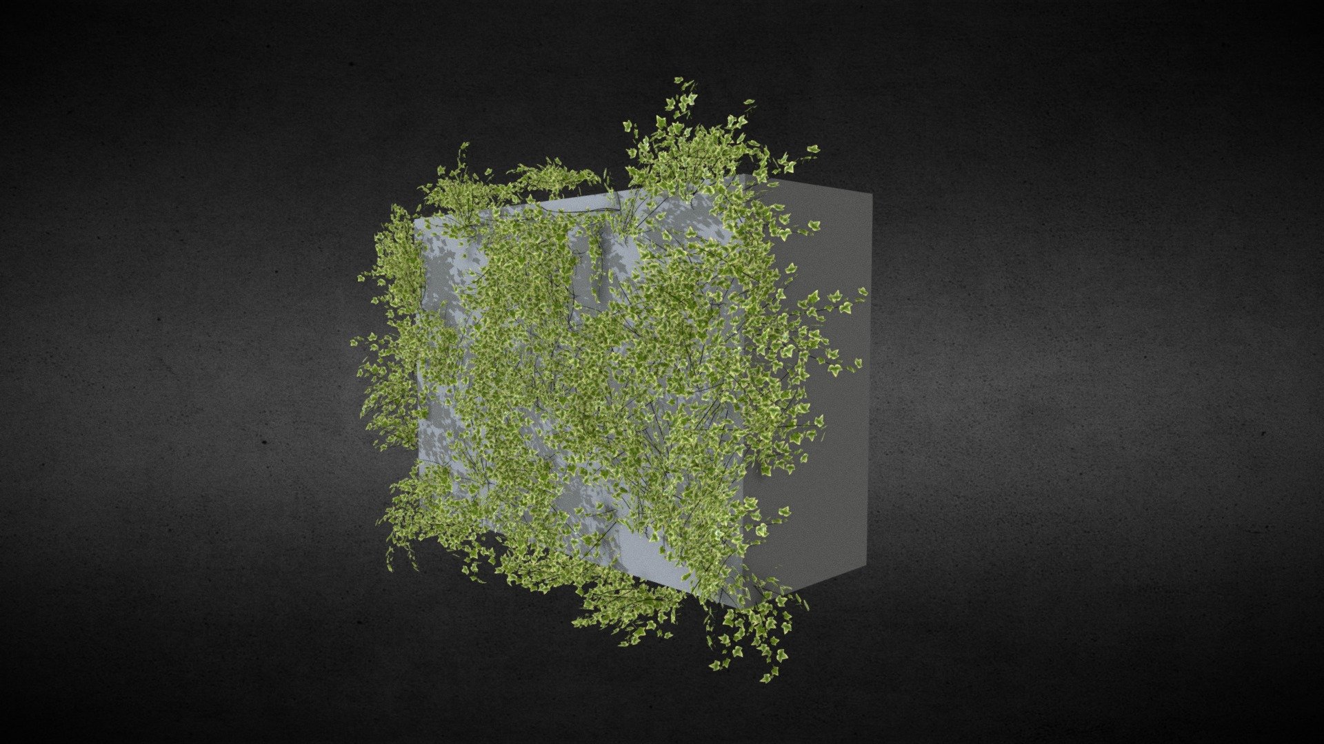 Ivy Game Ready Assets - Download Free 3D model by arca_done [5678010] - Sketchfab