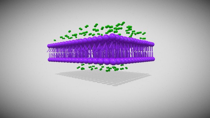 Molecules 3D models - Sketchfab