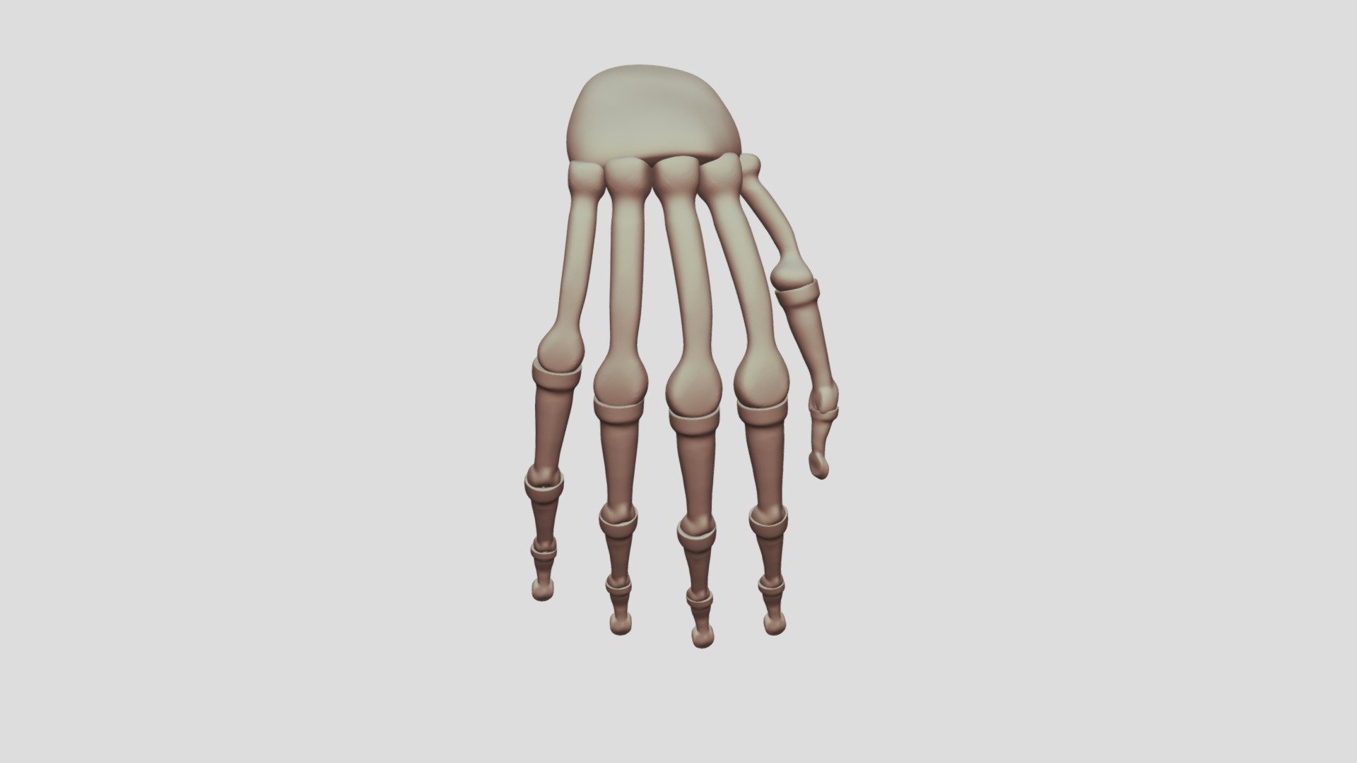 Skeleton Hand Model - Download Free 3D model by hreagers [5681ba9 ...