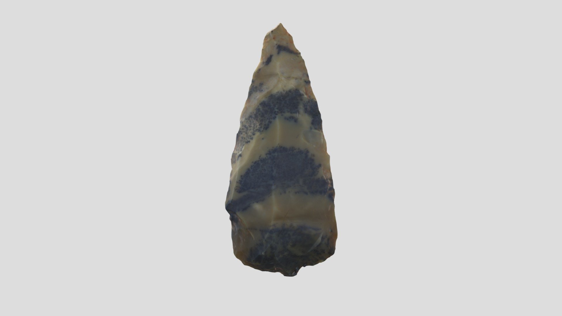 End Scraper, CK302-540 - Download Free 3D model by University of ...
