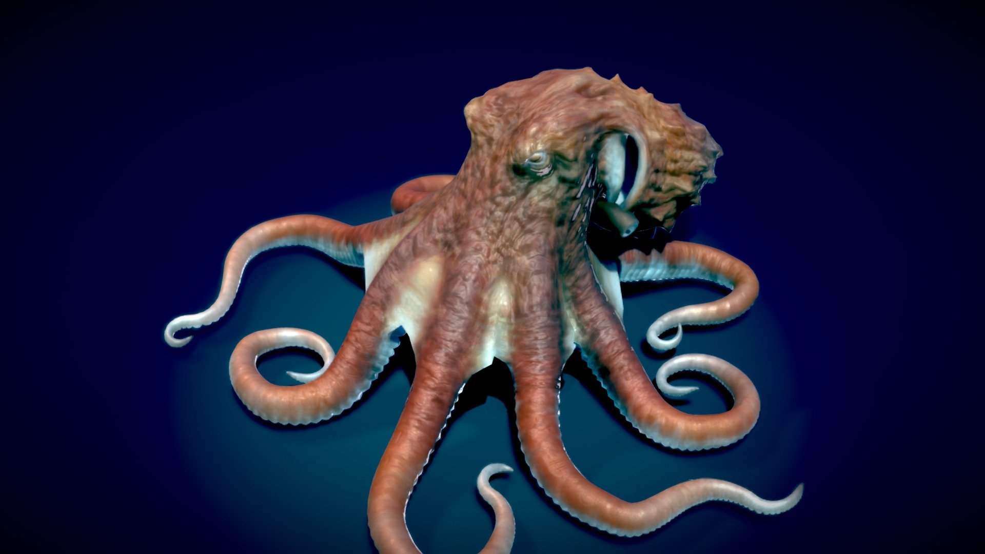Giant Pacific Octopus - Buy Royalty Free 3D model by Nestaeric [568a5df ...
