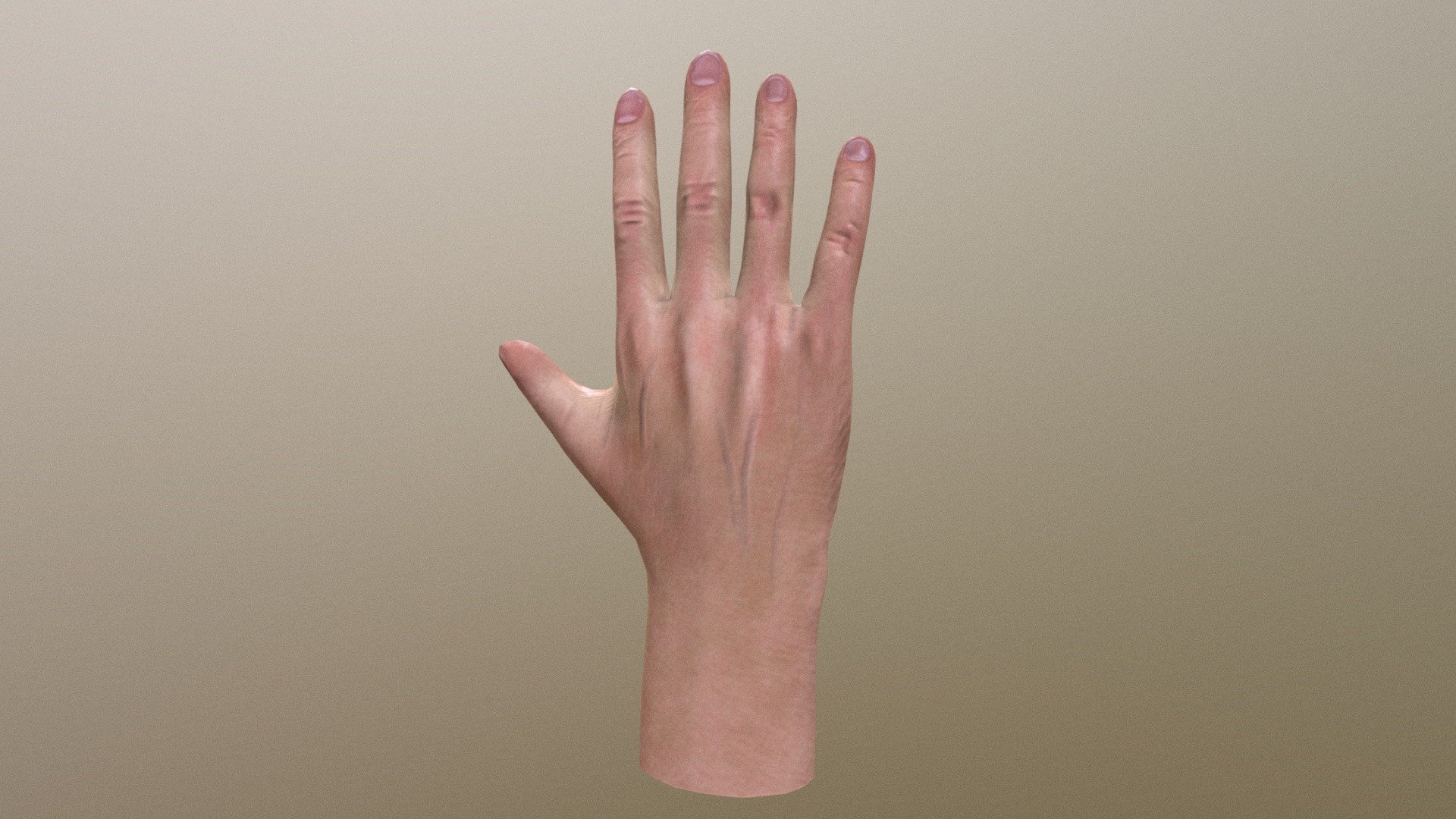 Human Hand 3D model - Download Free 3D model by Shadoff (@dimas ...