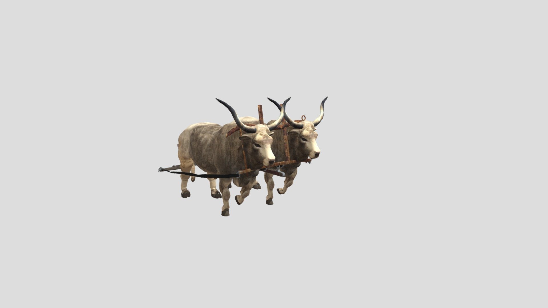 Double Ox walk - Download Free 3D model by Bazsi1986 [5692c60] - Sketchfab