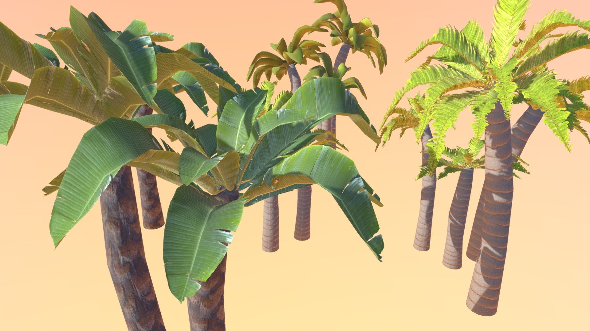 Palm Tree Pack - game ready - 3D model by dustytusk [56a5e3f] - Sketchfab