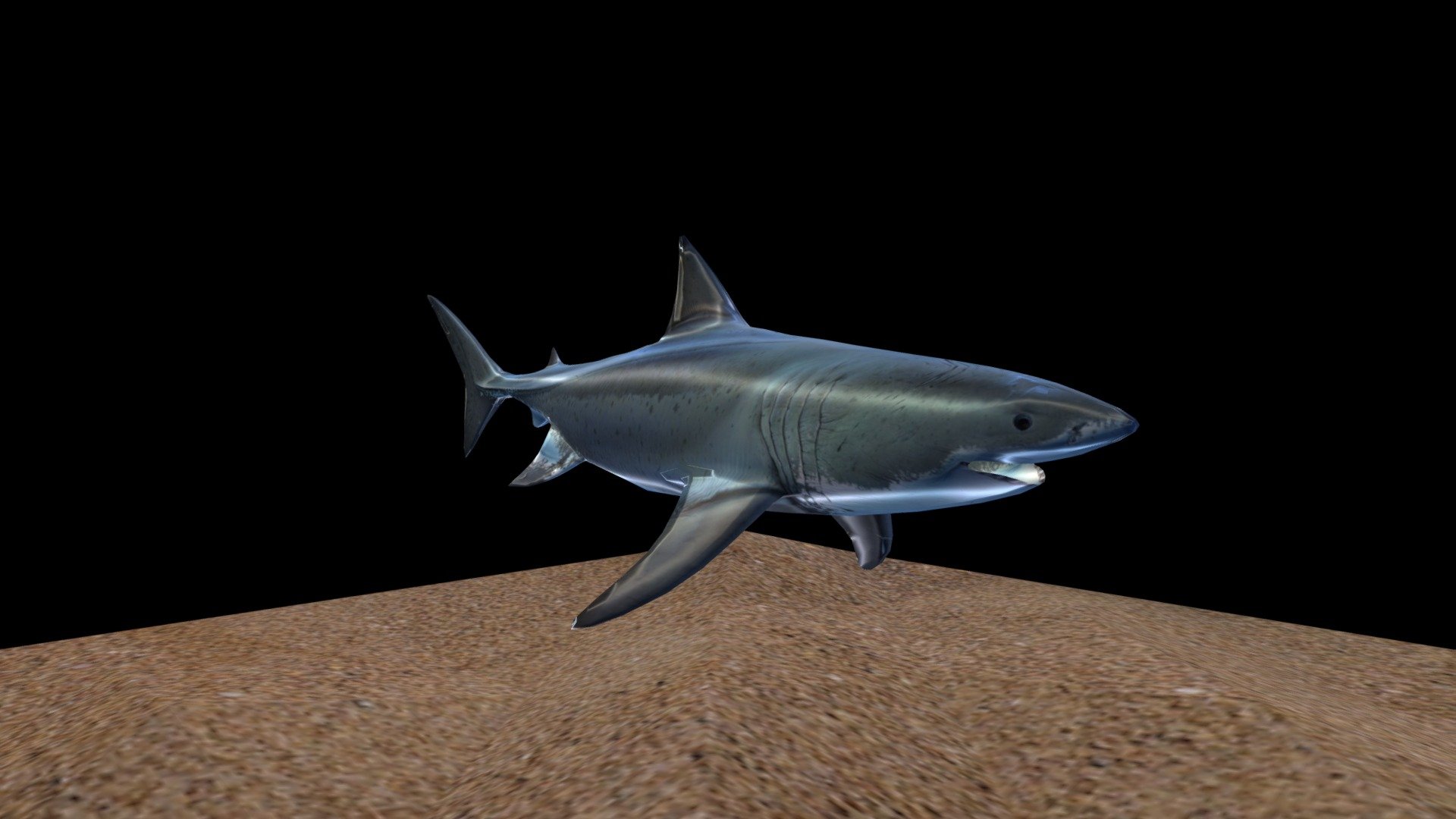 Tiburón con textura (model box) - 3D model by Ricardo Tolentino ...