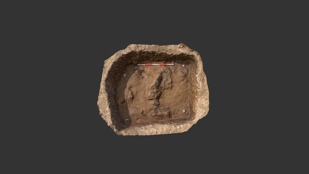 Chamber Planks - 3D model by Cogidubnus [56aa021] - Sketchfab