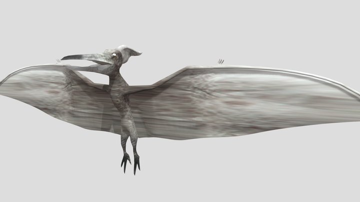 Pterosaur 3D models - Sketchfab