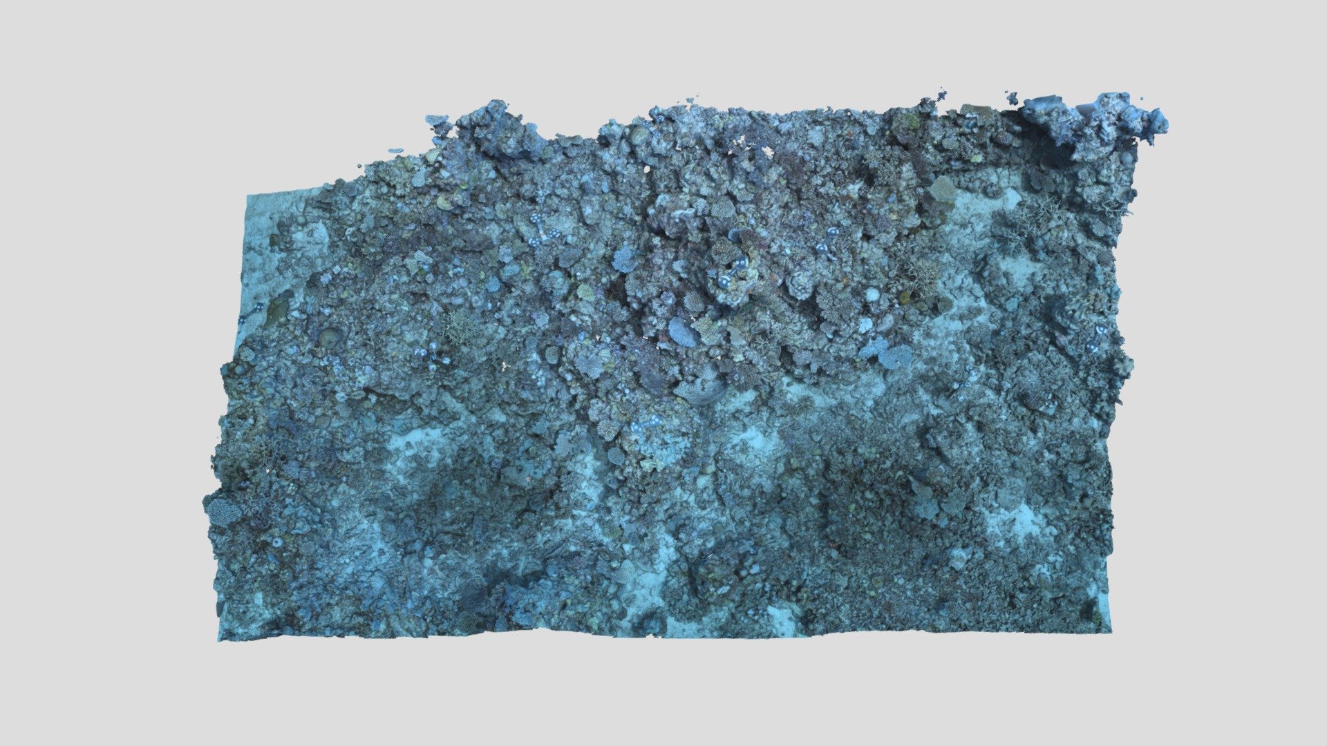 Davies_FR2D_P2_202201 - 3D model by EcoRRAP (@AIMSEcoRRAP) [56bc2cb ...