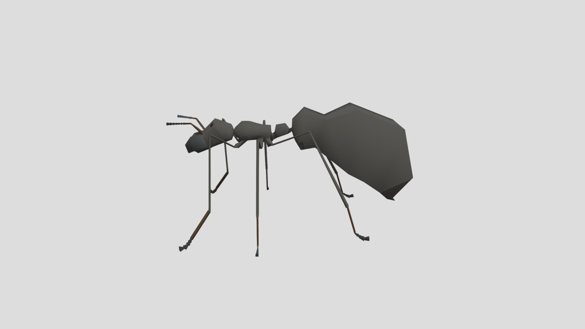 Ant 1 - Download Free 3D model by JoachimErga [56be061] - Sketchfab