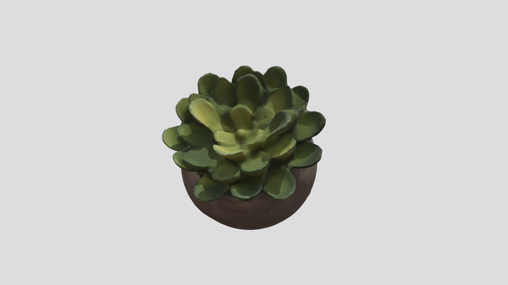 Fake Plant - Object 01 - Download Free 3D model by AnaMaria.MesaCastro ...