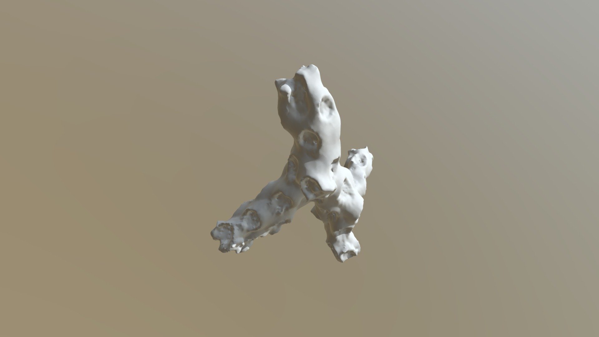 CORAL #2 B - 3D model by Damien.Lord [56c71d2] - Sketchfab