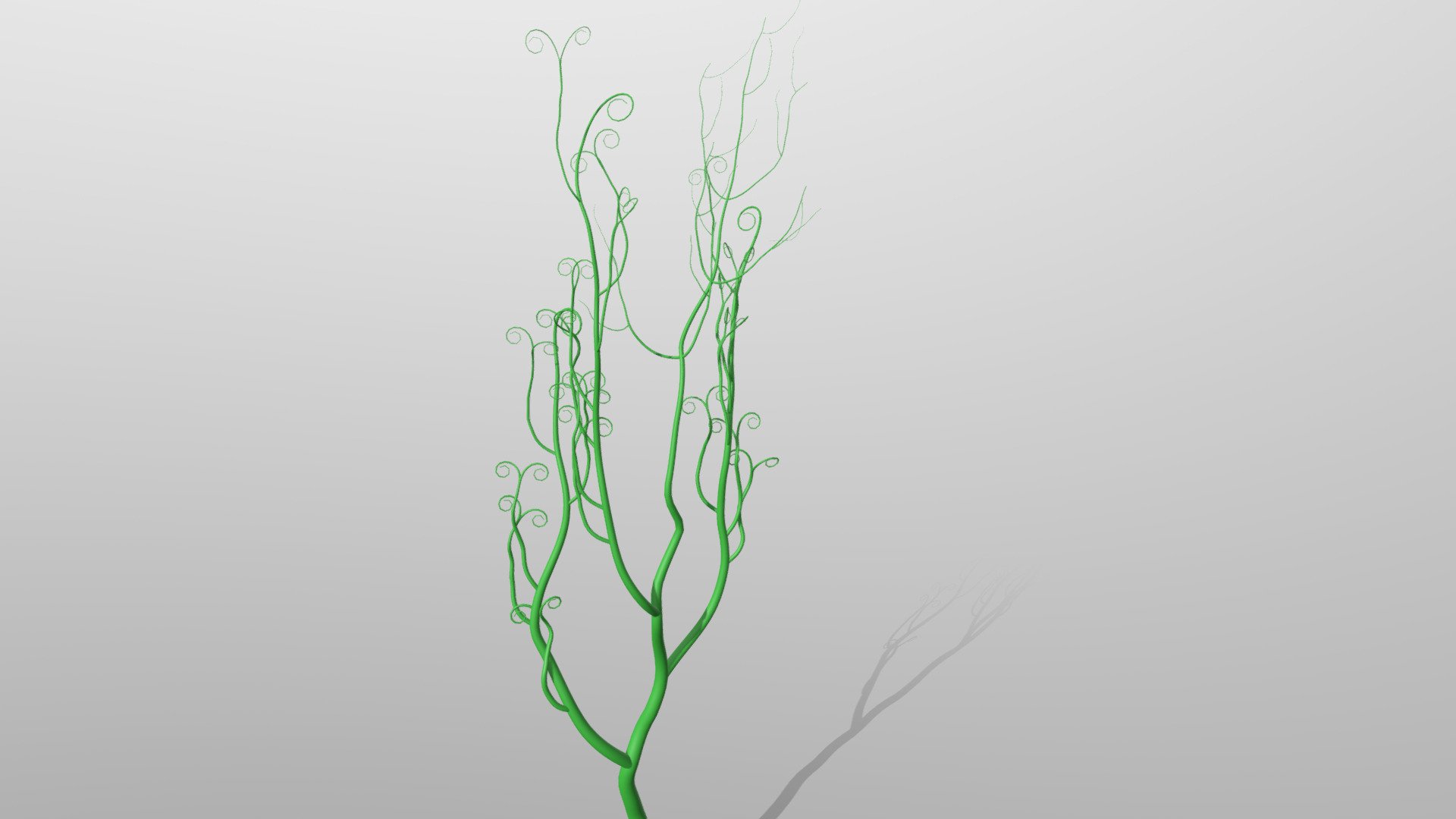 Psilophyton - 3D model by Paleobiome [56cc39b] - Sketchfab