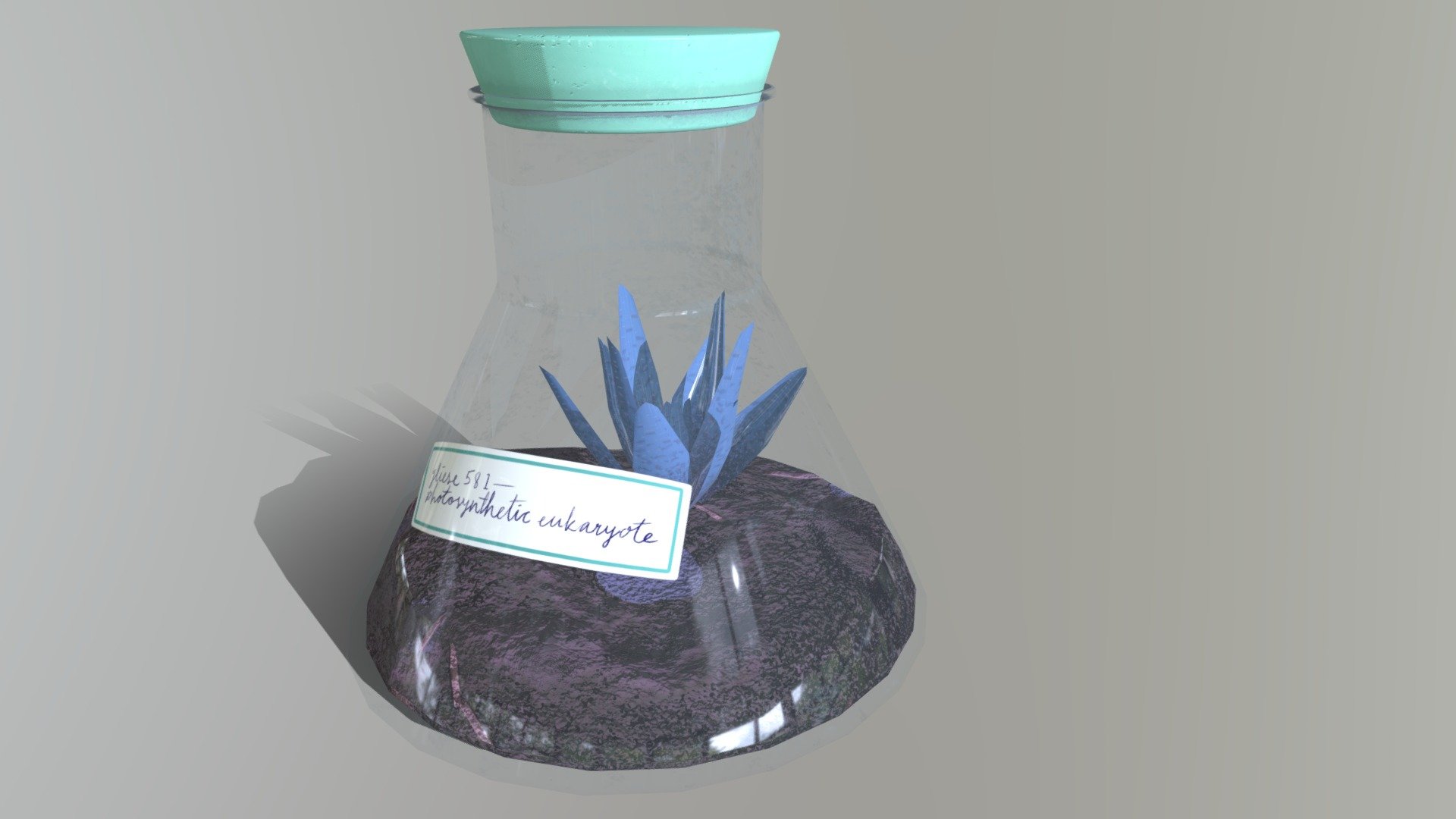 Plant Specimen - 3D model by ankylosaurus [56ddf1c] - Sketchfab