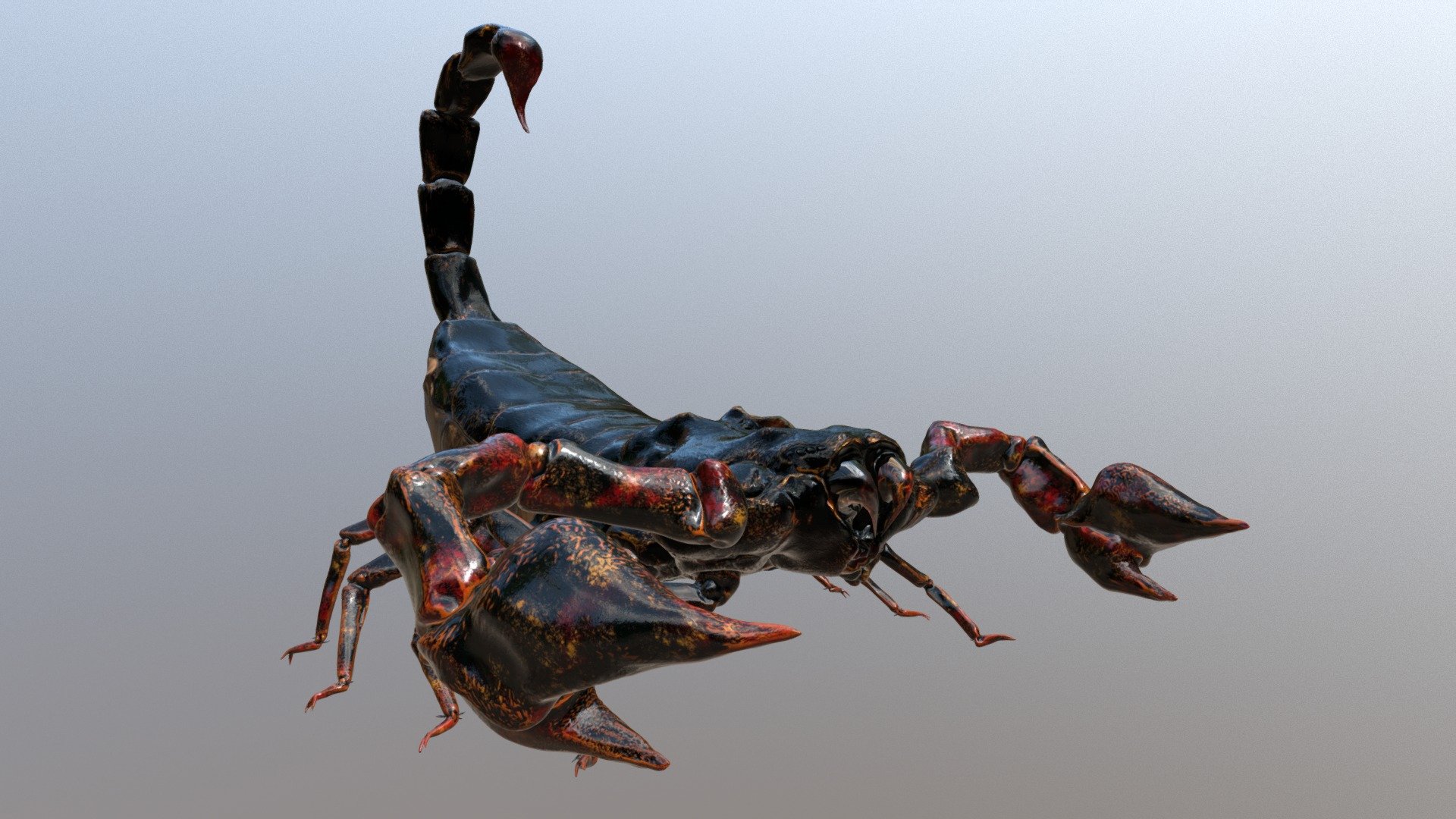 Scorpion - 3D model by Ksenia Berndl (@KseniaBerndl) [56f0fab] - Sketchfab
