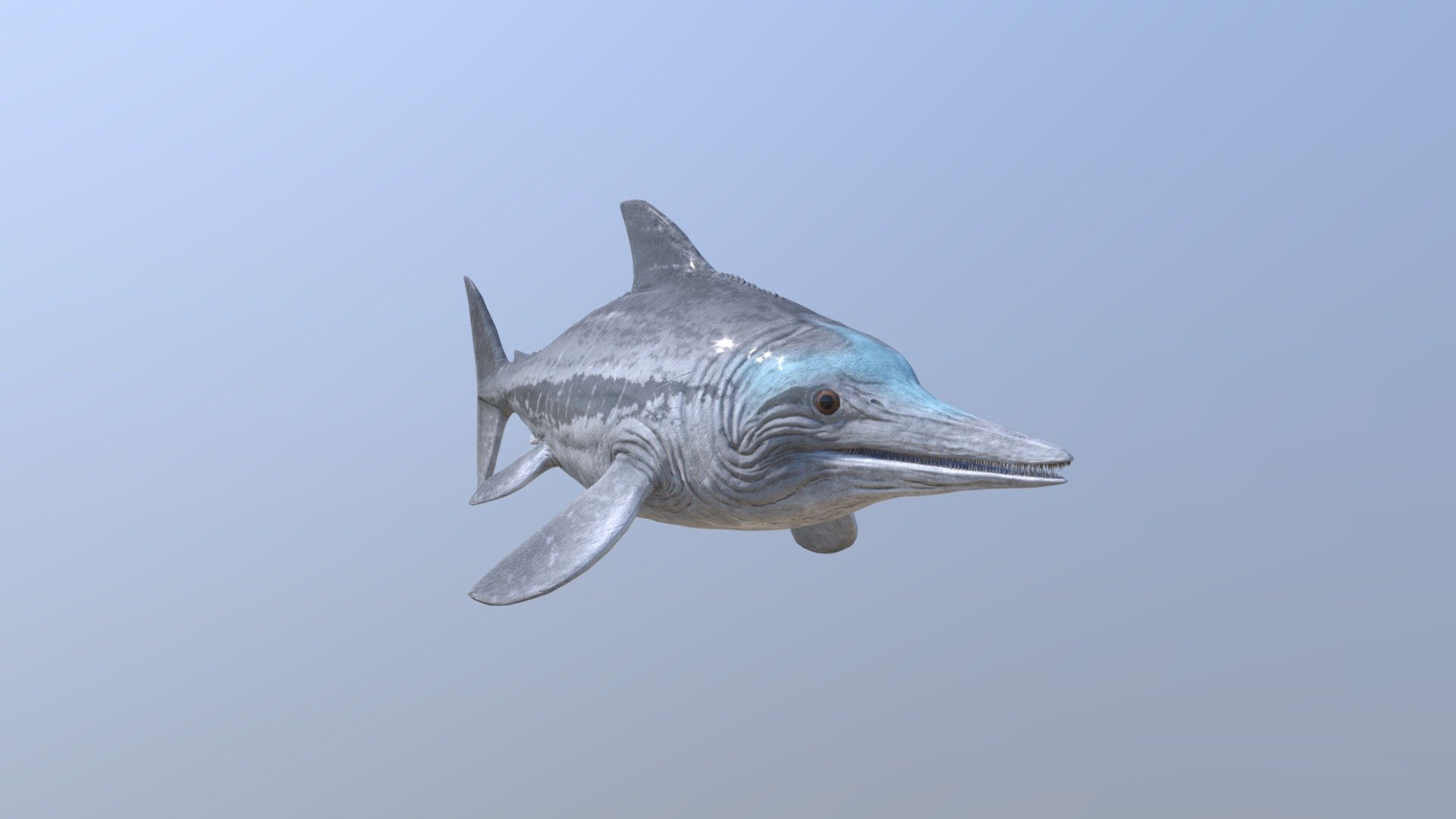 Ichthyosaurus - 3D model by beholdmidia [56f7d54] - Sketchfab