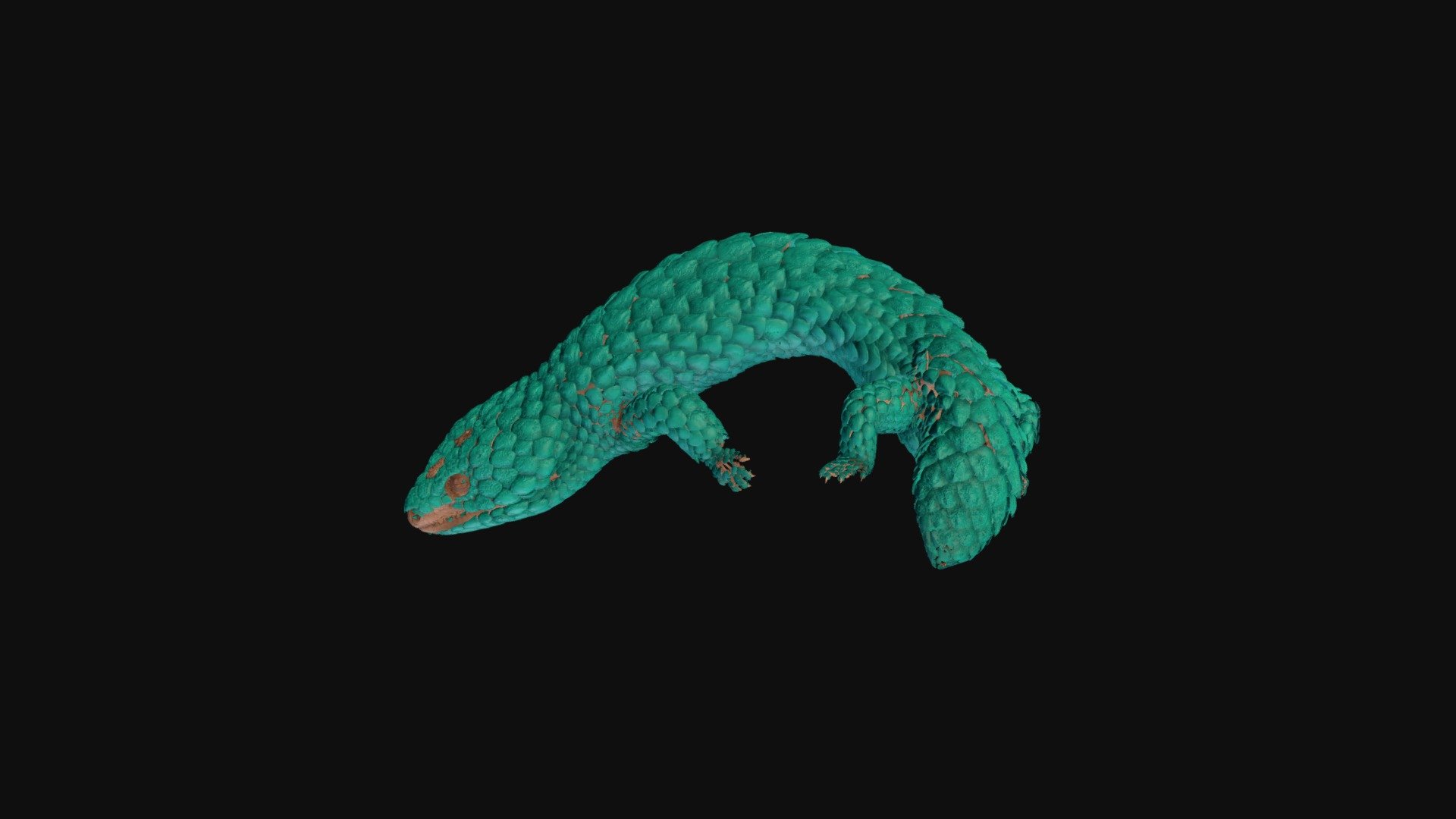 Shingleback skink skeleton - 3D model by Blackburn Lab (@ufherps ...