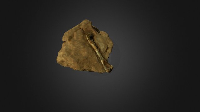 Mariliasuchus 3D models - Sketchfab