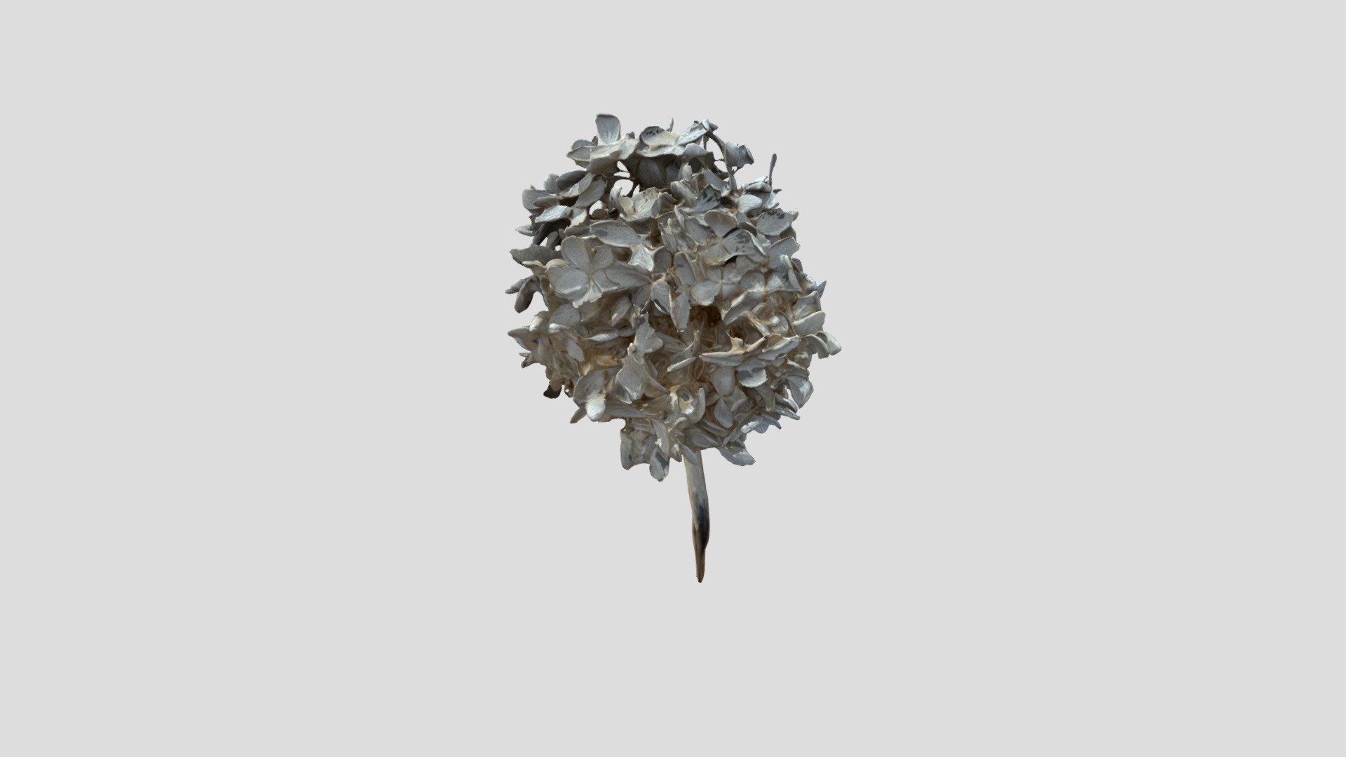 Gonzalez_flowers_object - 3D model by DanielLGonzalez [5709dbc] - Sketchfab