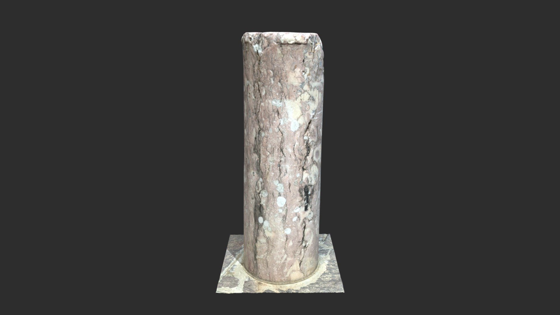 Cipo_ Italica - 3D model by rmon [5712438] - Sketchfab