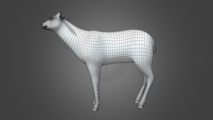 Farm-animal 3D models - Sketchfab