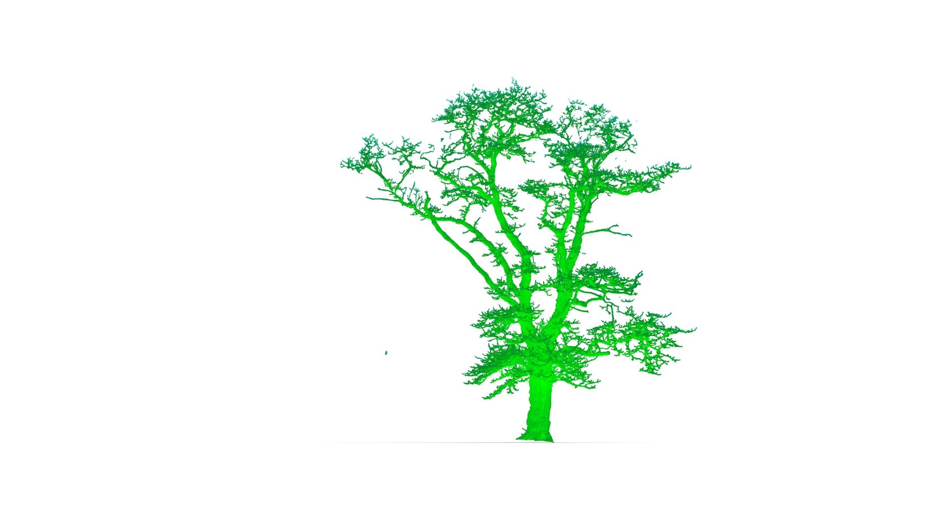 data visualisation tree - 3D model by laraborremans [571791f] - Sketchfab