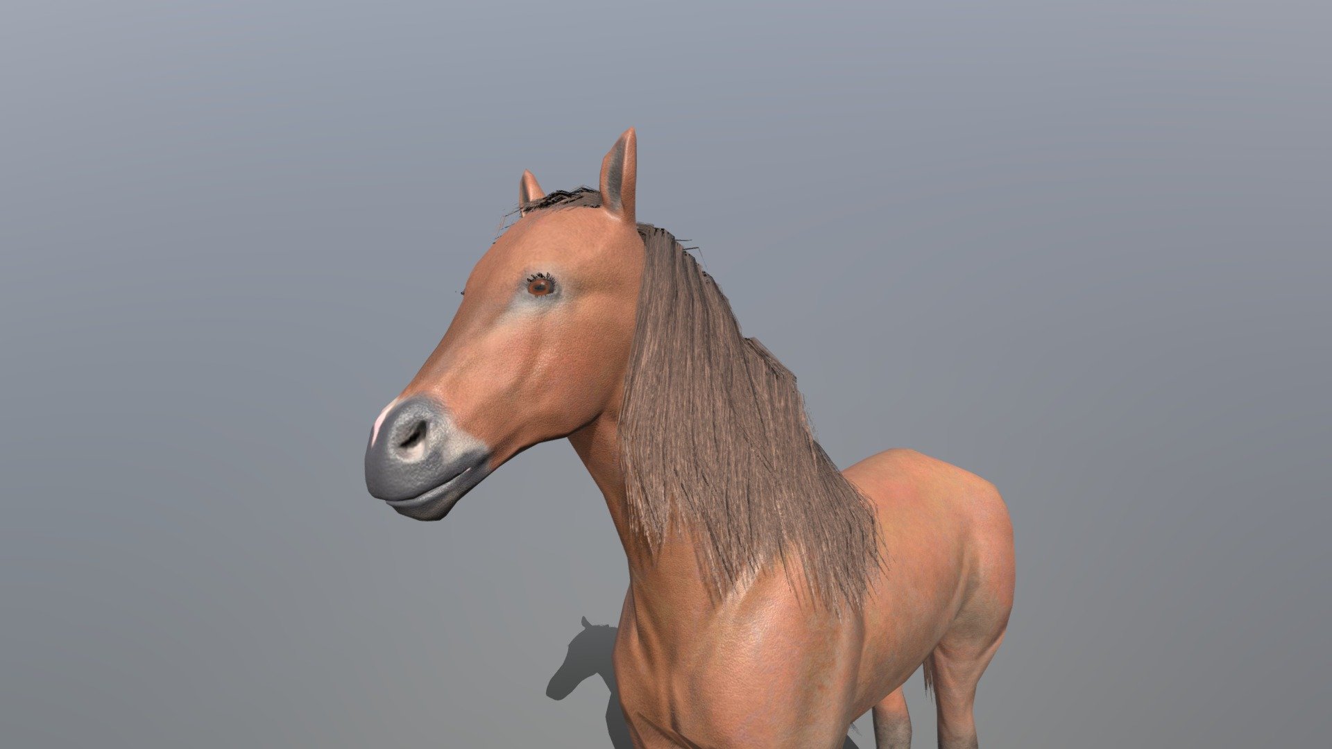 Realtime Horse - 3D model by SubSalvation [571c878] - Sketchfab