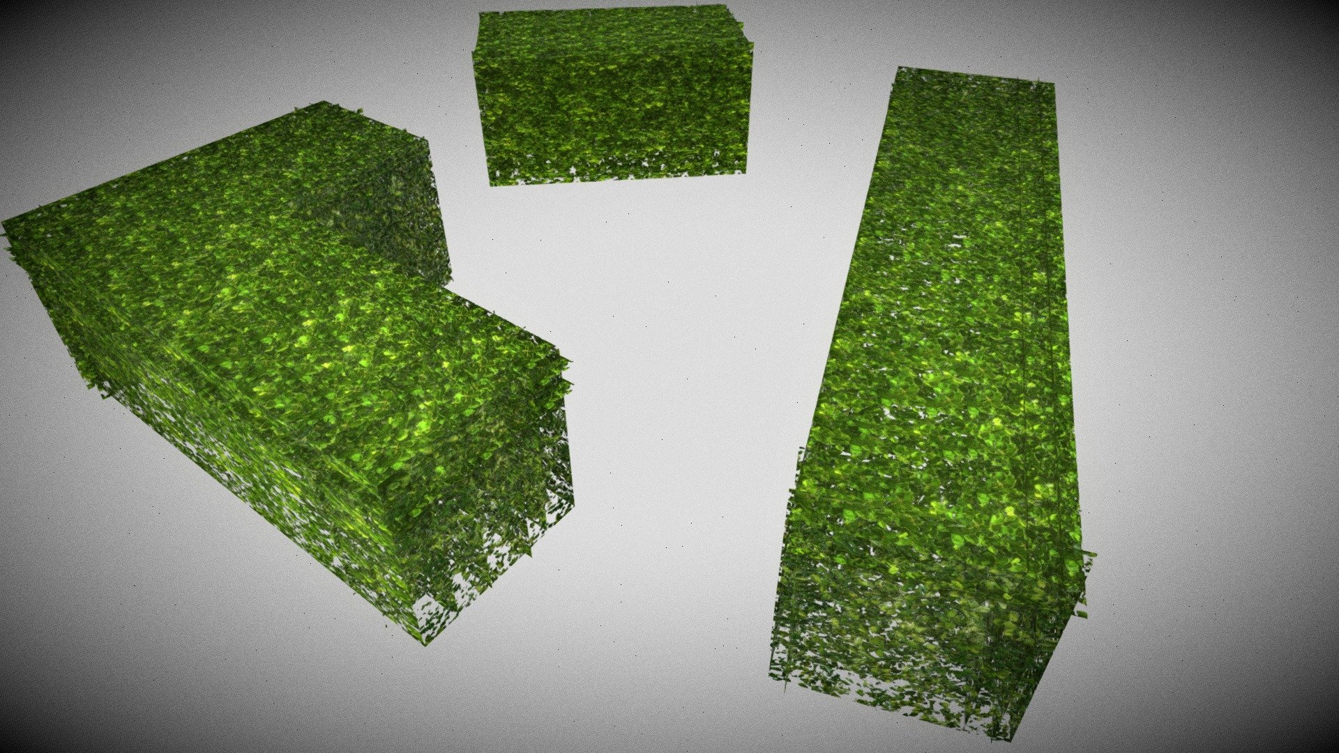 Green hedge - 3D model by Uragan27 [571f42d] - Sketchfab