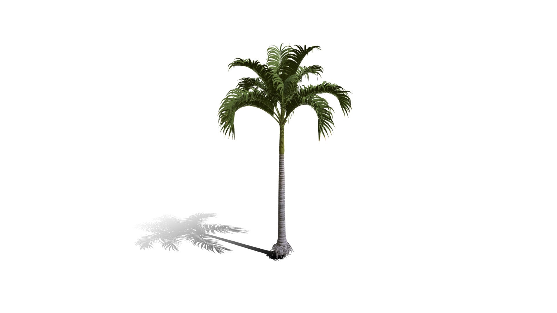 Realistic HD Christmas palm (8/35) - Buy Royalty Free 3D model by ...
