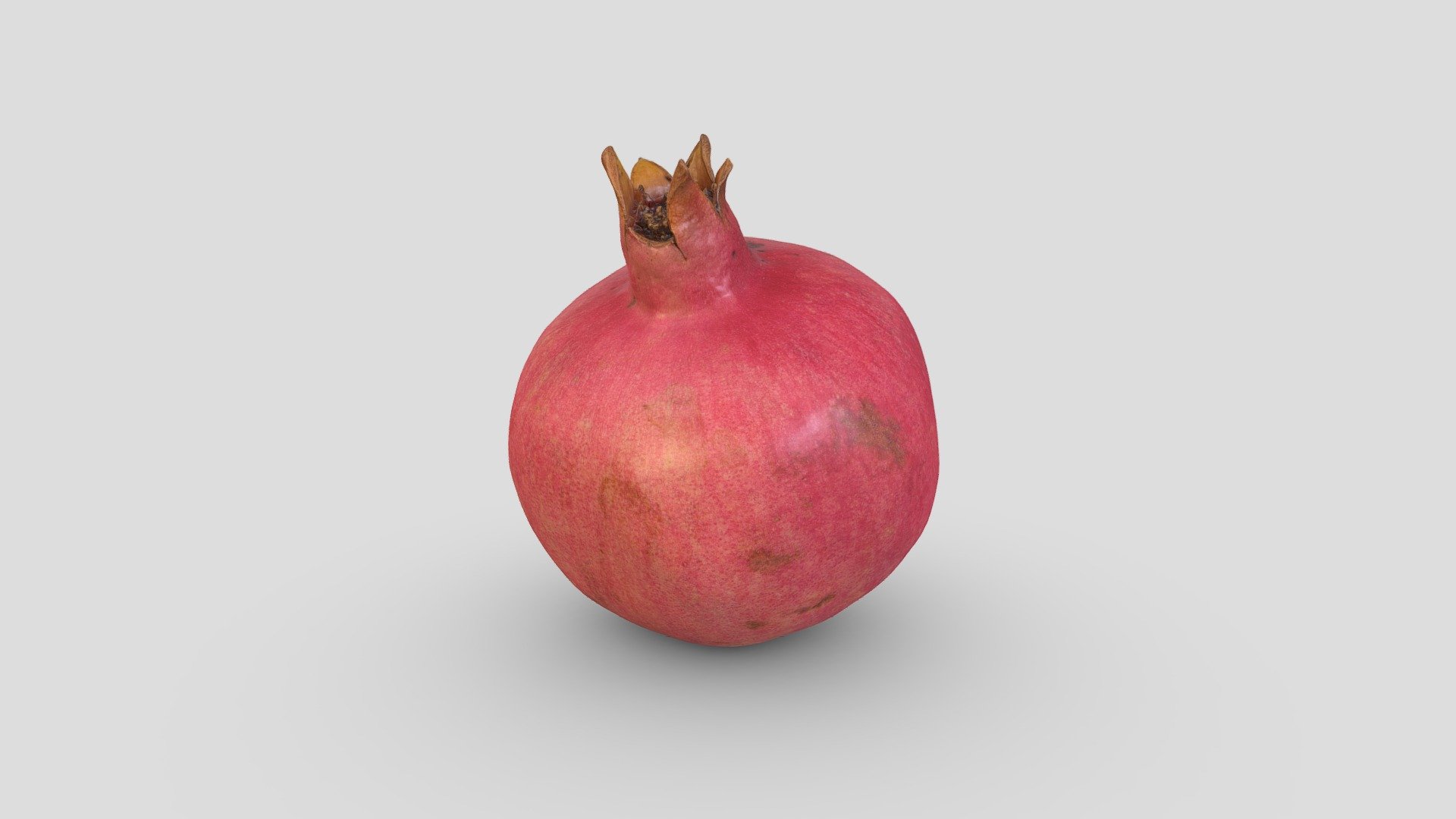 Pomegranate - 3D model by bemute [5744d44] - Sketchfab