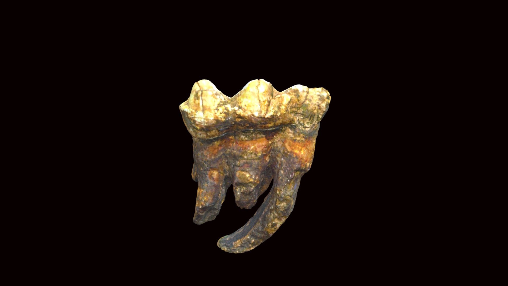 Mastodon Molar (VCU_3D_7849) - Download Free 3D model by Virtual ...