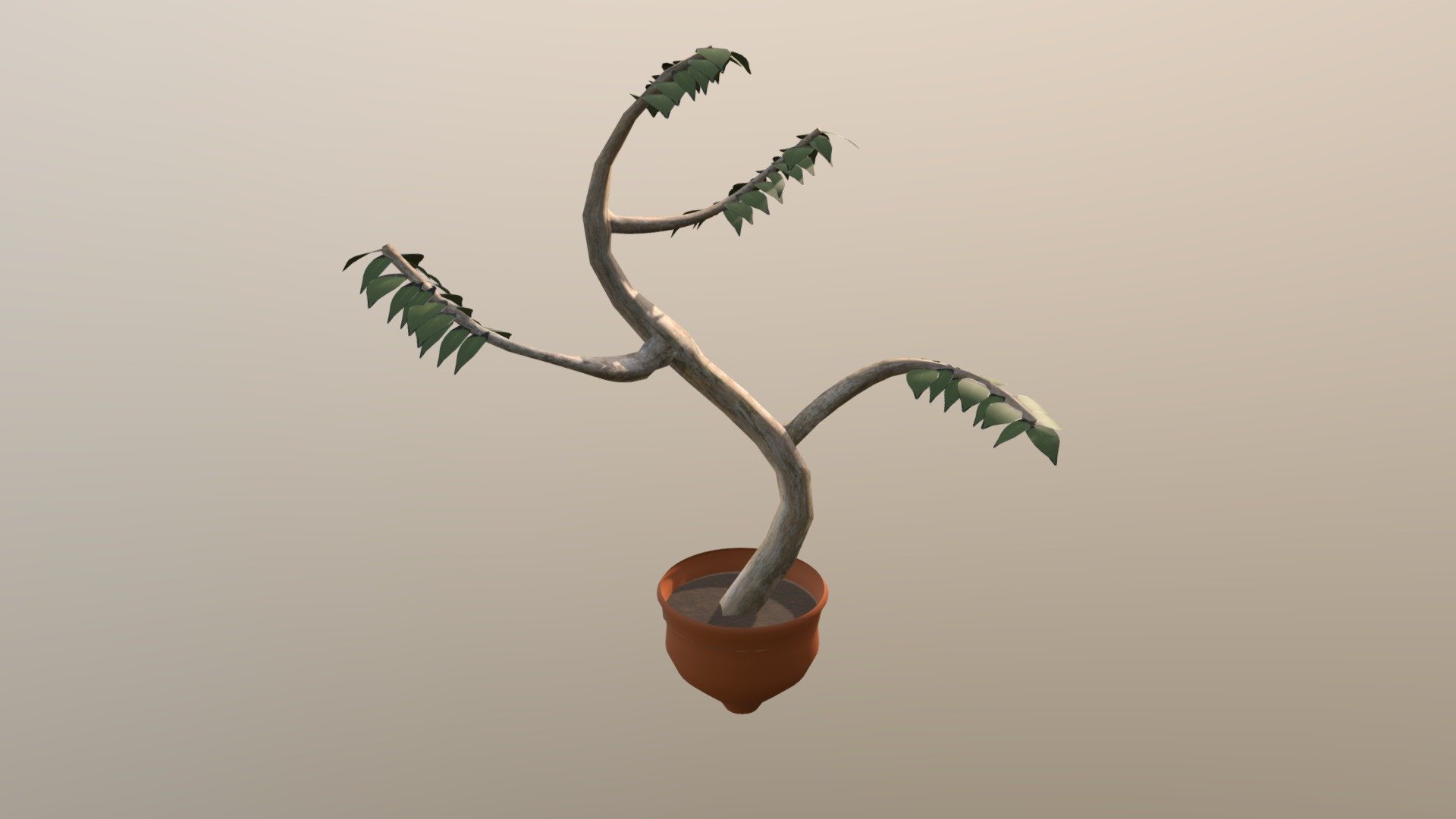 Baby Bonsai - Download Free 3D model by kylegraham [5746626] - Sketchfab
