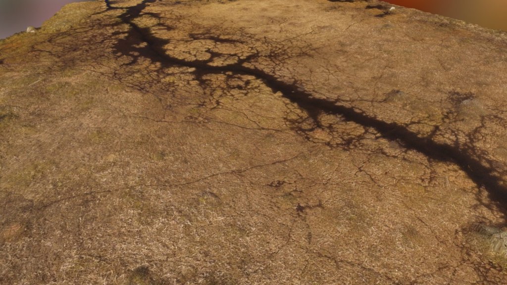Freshwater Marsh - 3D model by weatherbeewesley [5749de7] - Sketchfab