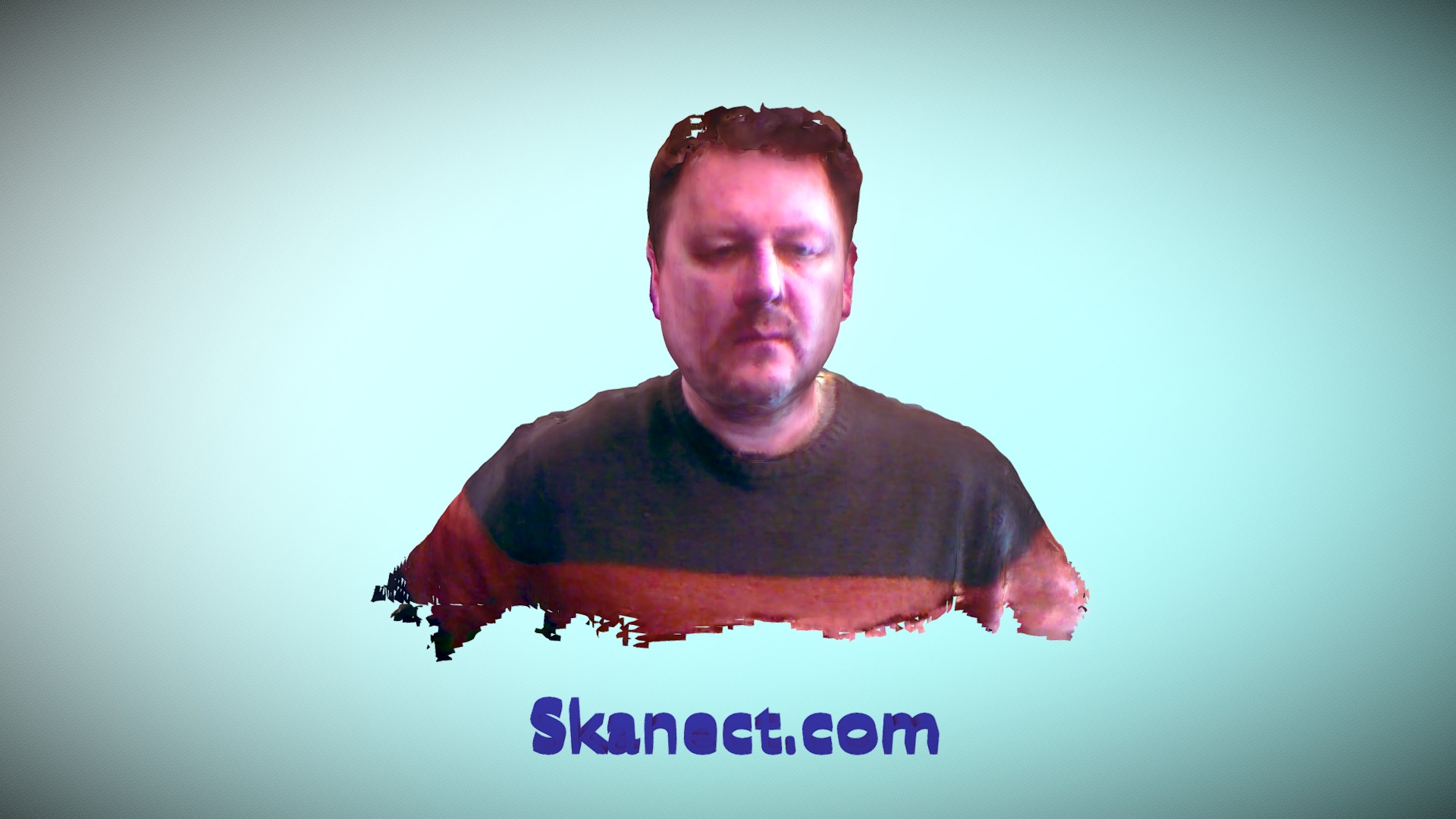 New Skanect Model - 3D model by remib74 [575019f] - Sketchfab